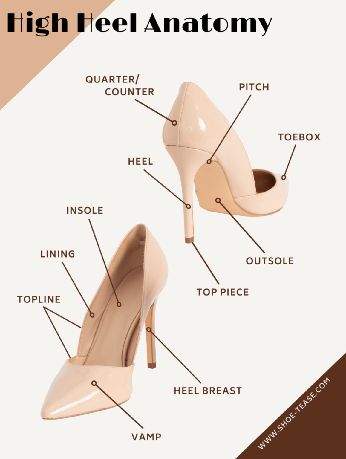 Ultimate High Heel Anatomy Guide - 19 Main Parts of a High Heel