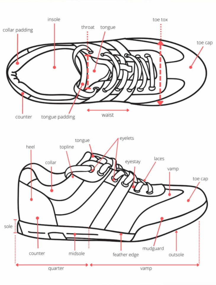 Shoe Anatomy Guide - 40+ Different Parts of a Shoe with Names & Images